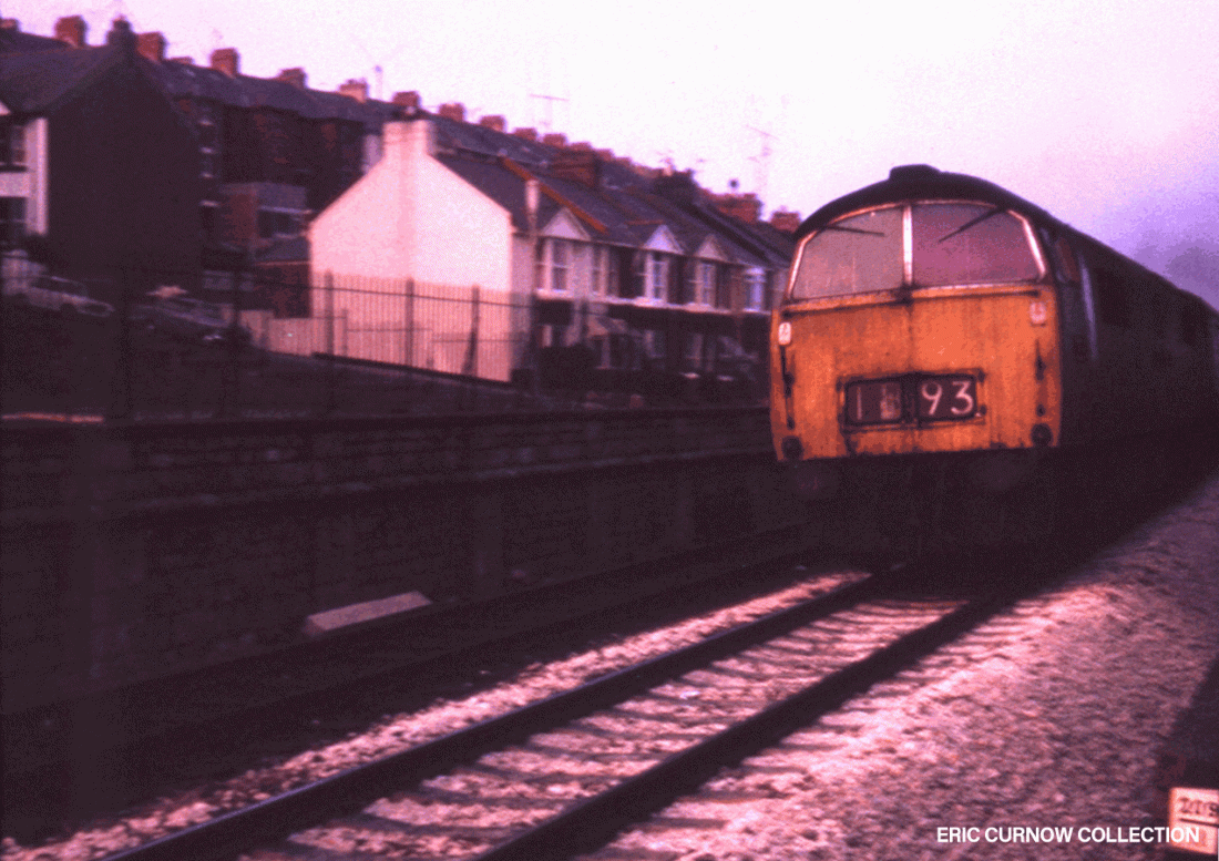Plymouth Laira – The Eric Curnow Collection