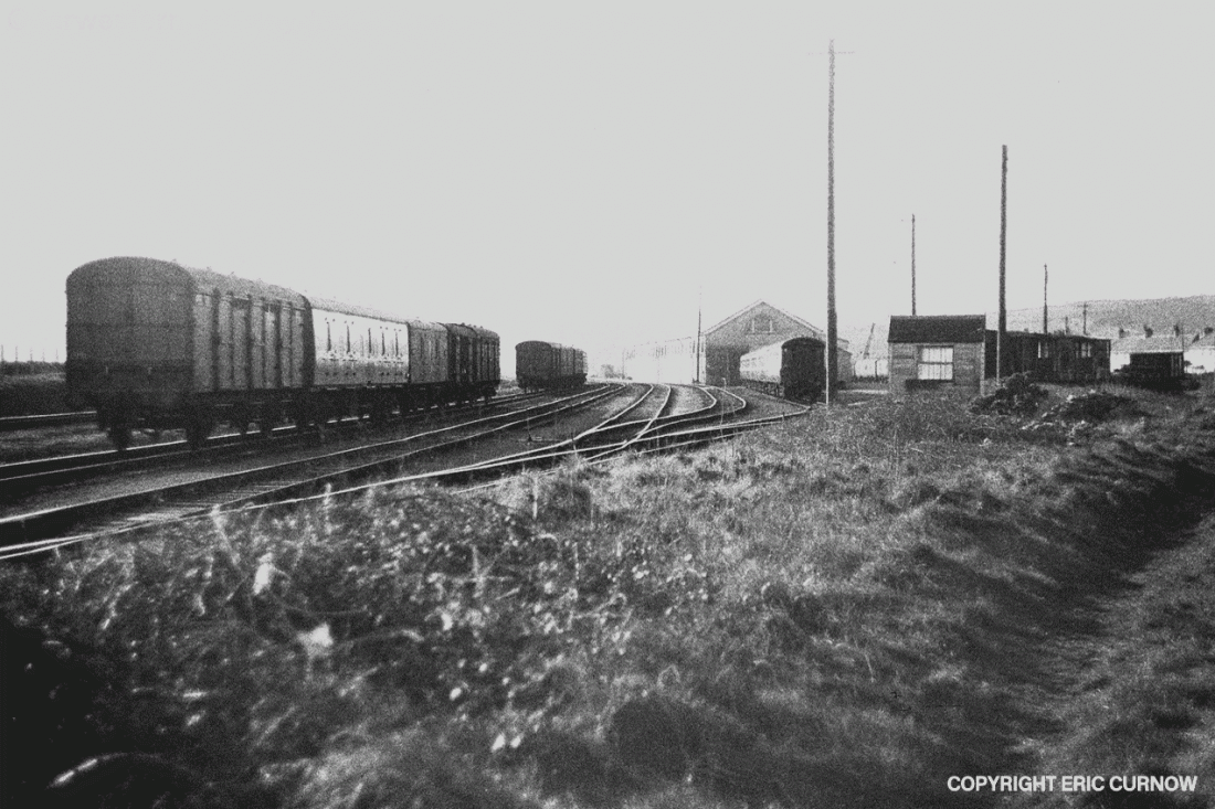 1976 Shoots – The Eric Curnow Collection