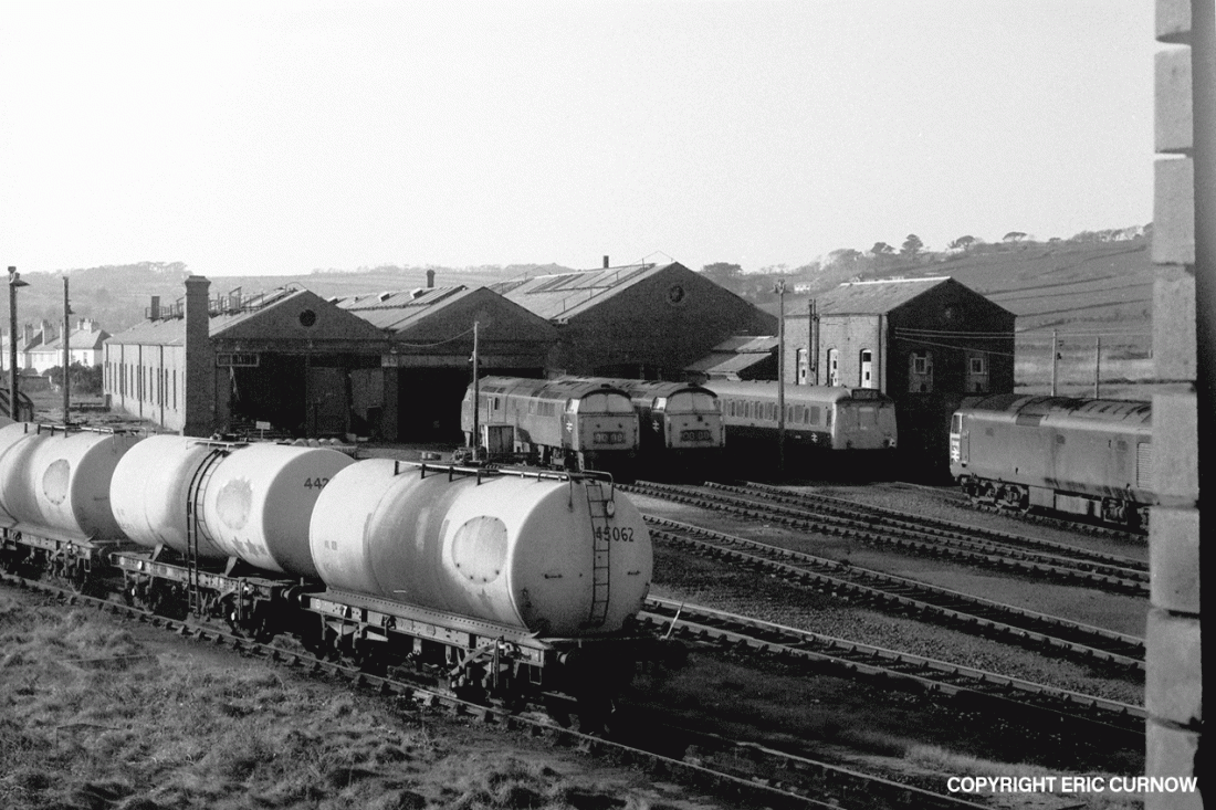 1976 Shoots – The Eric Curnow Collection